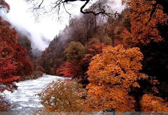 Top 10 Places to See Autumn Leaves in China « China Travel Tips – Tour ...