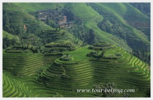 How to Visit Longji Rice Terraces from Guilin (Tips, Photos & Map ...