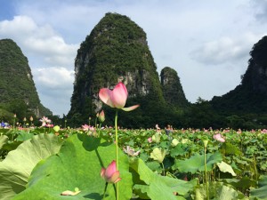 Shili Scenery Gallery in Yangshuo (Tips, Photos & Maps) – China Travel Tips