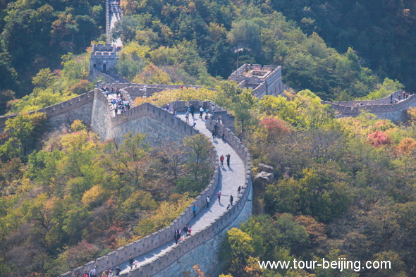 wall-maize – China Travel Tips