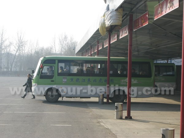 Siberian Tiger Park Harbin, My trip to Siberian Park Harbin