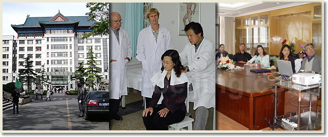 Traditional Chinese Medicine Study Tour - Beijing Theme Tour